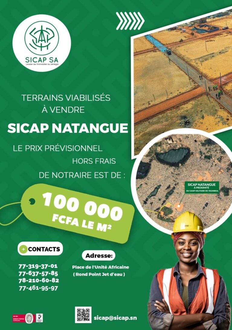 Aéroport Diori Hamani De Niamey : De Violents Tirs Entendus Depuis L ...